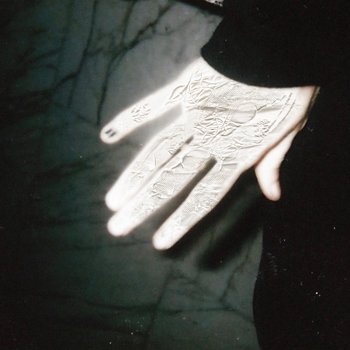 Kathryn Mohr - Holly - The Flenser