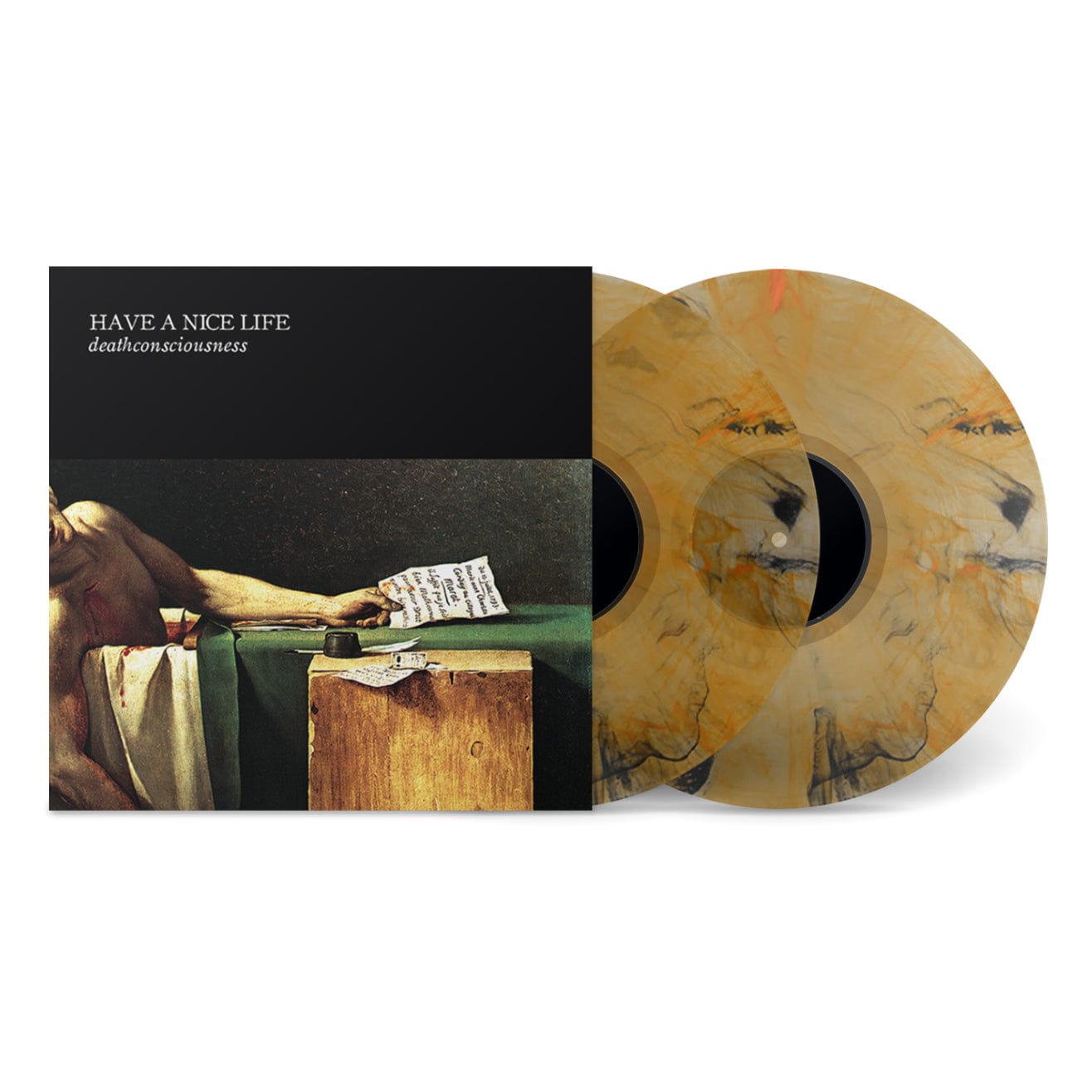 Have A Nice Life – Limited Edition Vinyl, CDs & Merch - The Flenser